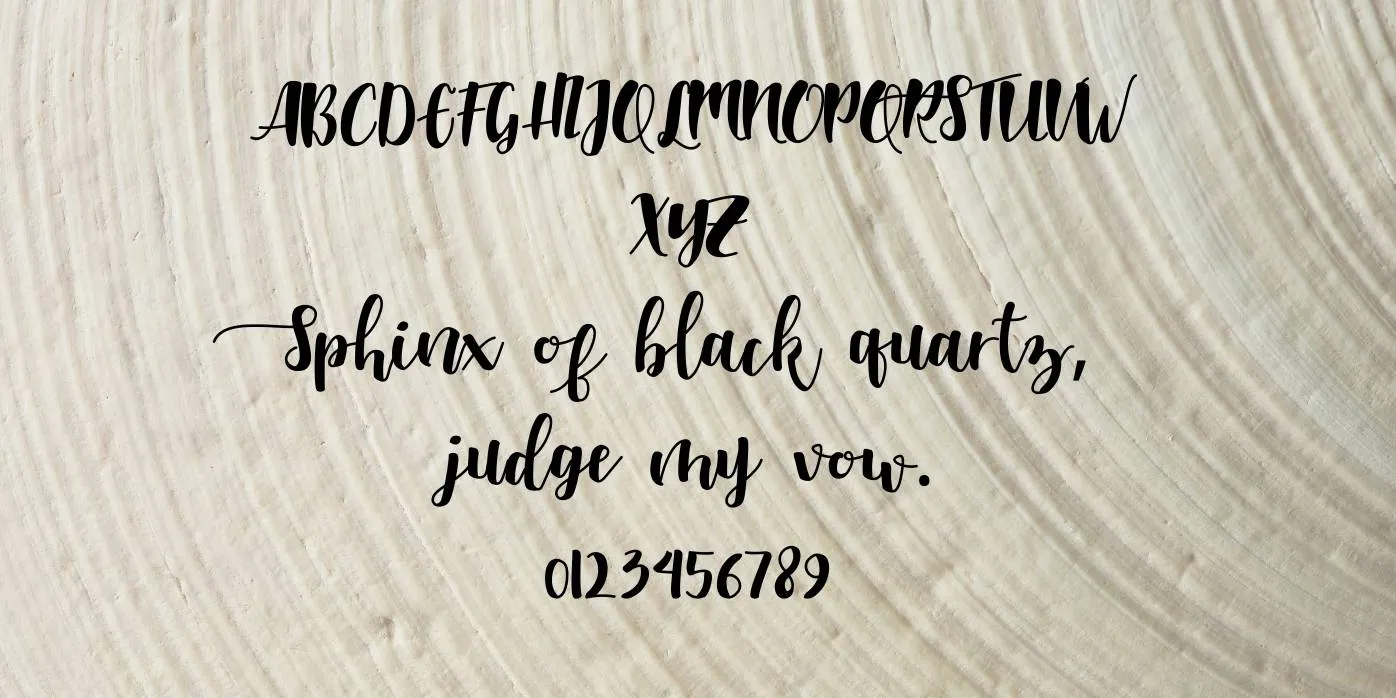 Shella Clean Font Free Download