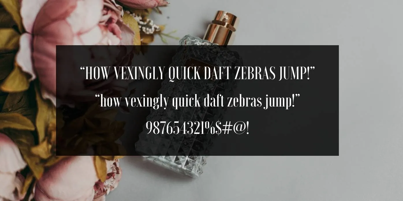 Voga Font Free Download